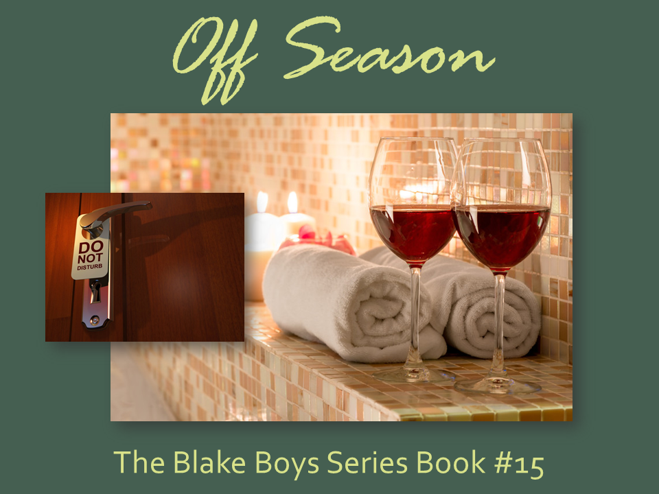 Off Season (Book 15 in The Blake Boys Series) Excerpt II | Rhonda ...